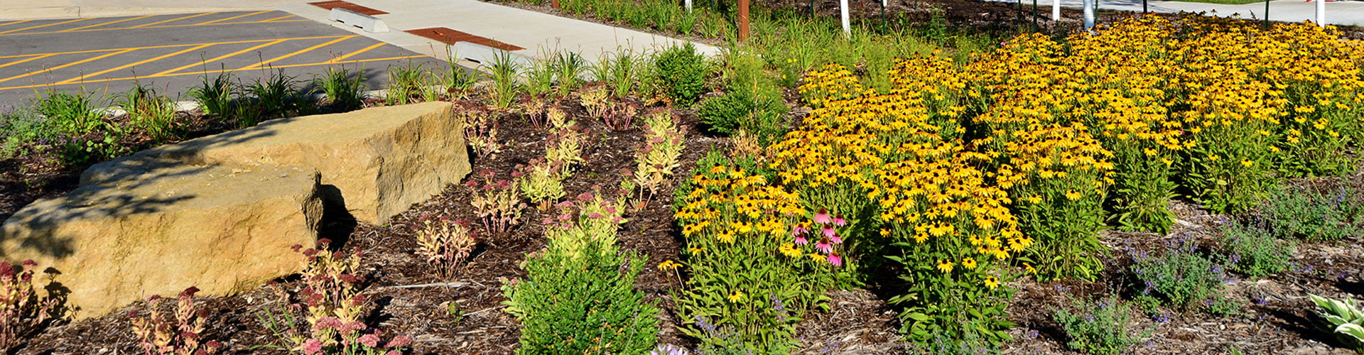 Employee Spotlight: SEH Landscape Architects