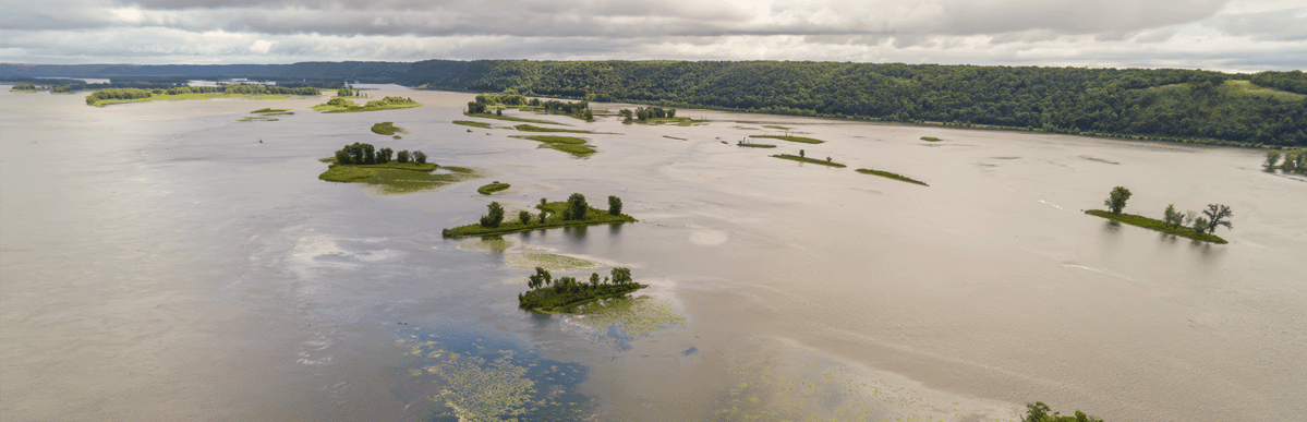 Upper Mississippi River Restoration: Lower Pool 10