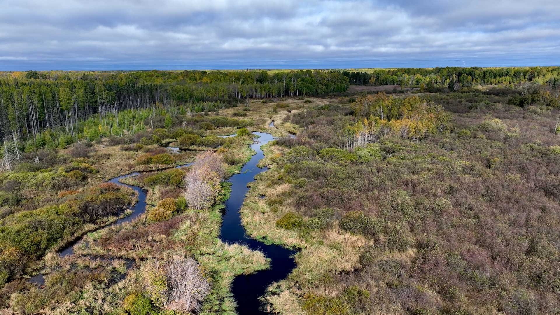 Natural Resources Services and Ecological Restoration | SEH