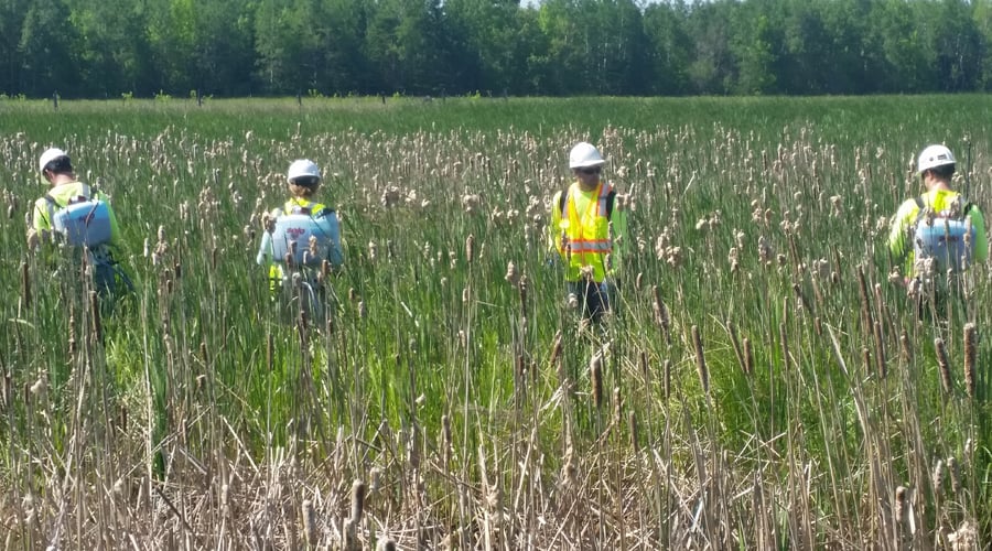 Environmental Services