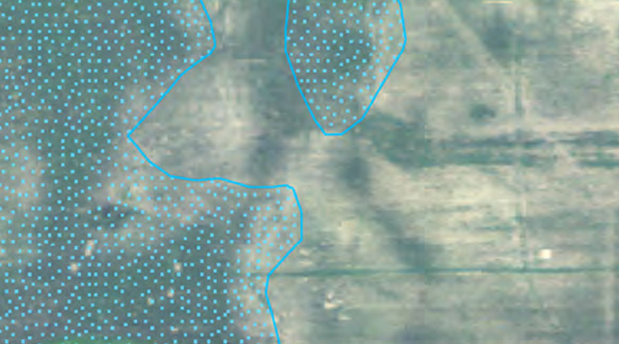 METRO Blue Line Extension Light Rail Transit Phase II Environmental ...